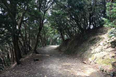 Tomogashima Island: Military Ruins and a "Castle in the Sky"? | Kansai ...
